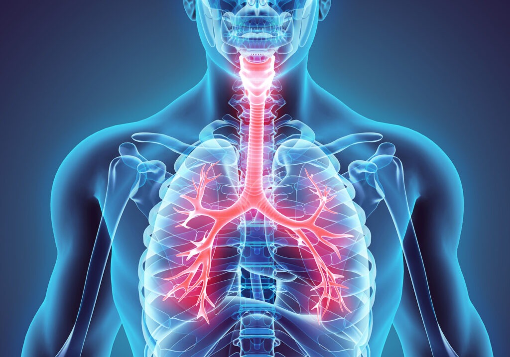 Common Respiratory Conditions: How to Recognize the Signs
