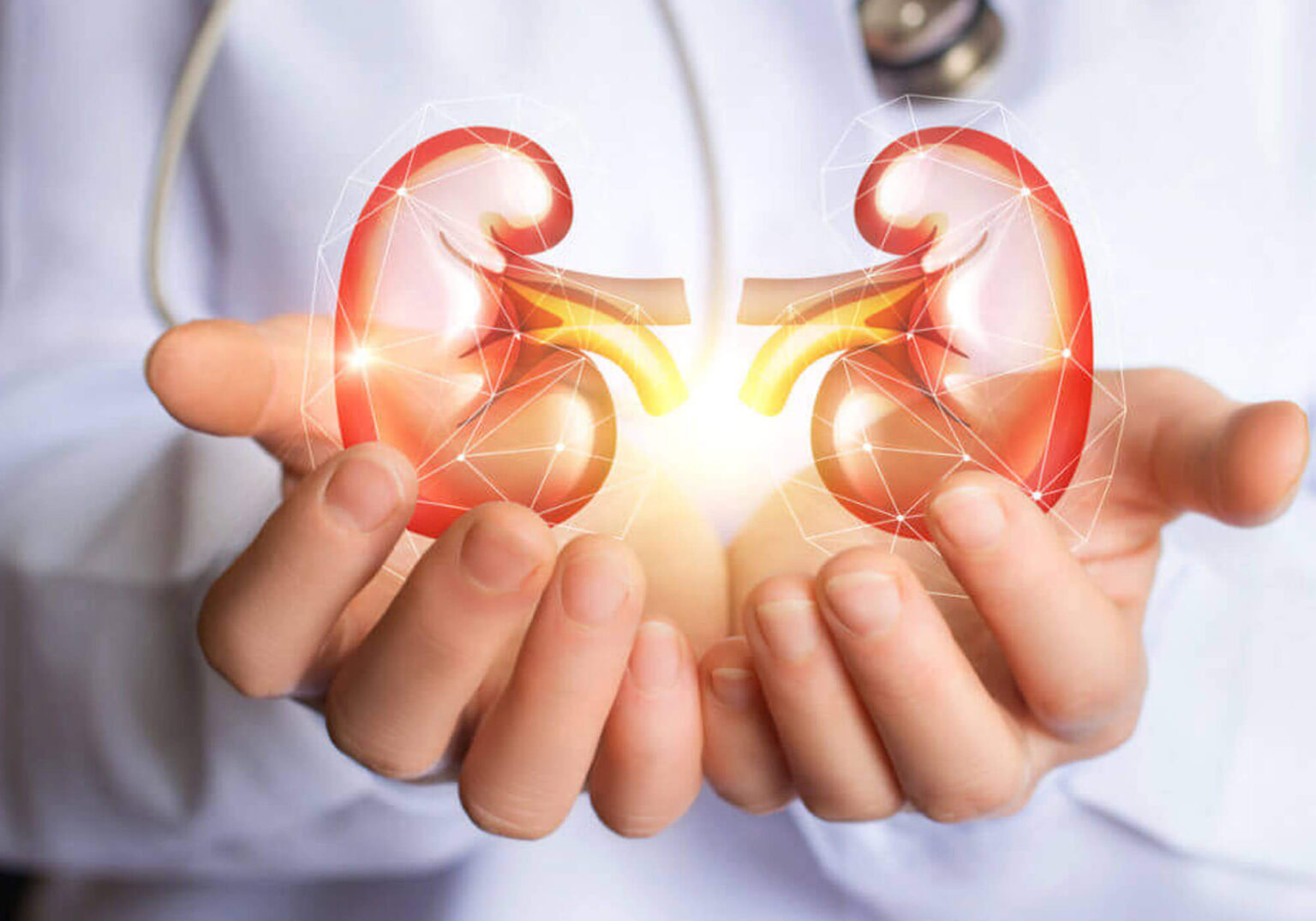 How to Keep Your Kidney Healthy: Tips for Optimal Kidney Health